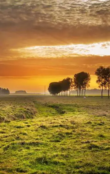 소론도정 효능과 복용 시 주의할 사항 - 드리보카